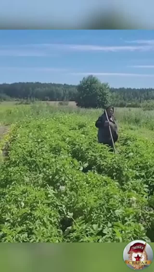 Деревенька