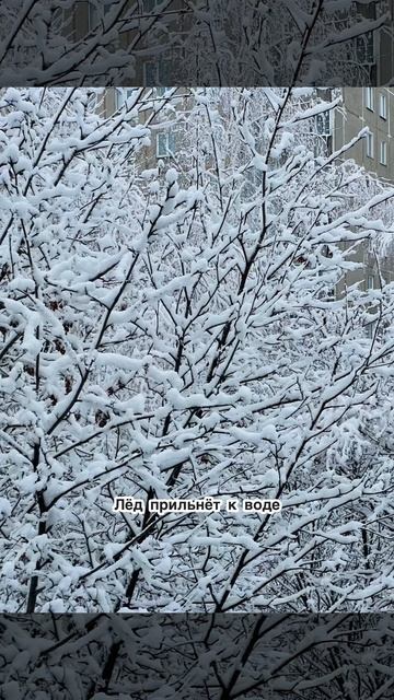 К. Бальмонт. К зиме