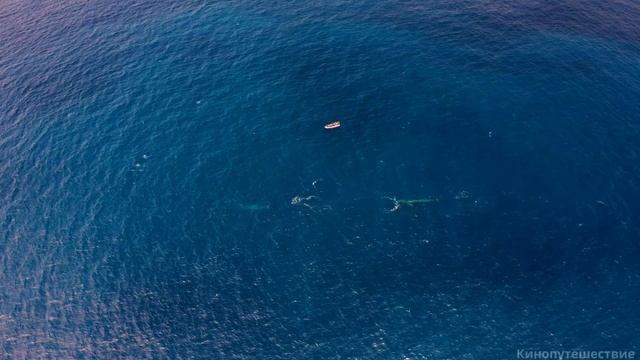 Азорские_острова_Неповторимые_красоты_Атлантики.mkv