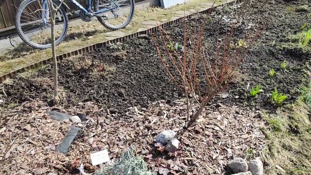 2-Дача..Открытие сезона.. 2022..2 часть. 23.04.22