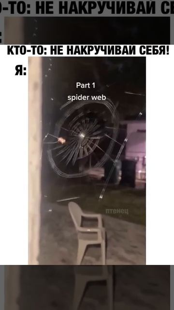 Паук накрутил себе голову🤣🤣🤣