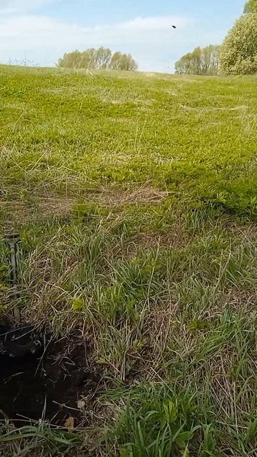 Находка огонь 🔥🔥🔥