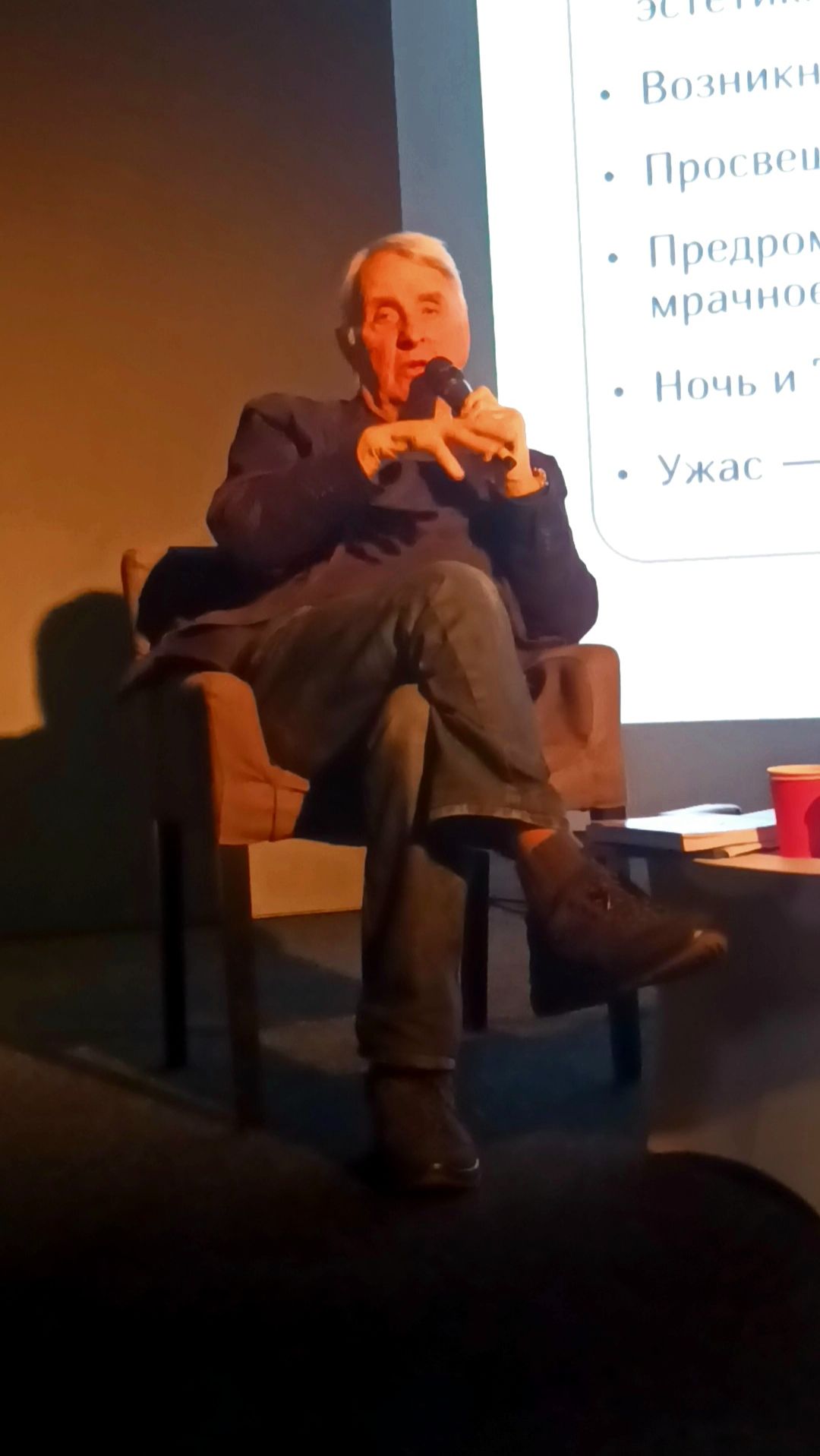 На лекции проф. Е.В. Жаринова «Английский готический роман и жанр романа-ужаса» (фр3)