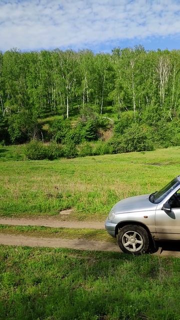 Только сбежав от городской суеты, мы понимаем, что вороны каркают вполне прилично