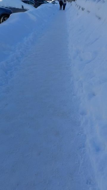 №1511 ул. Красноармейская 1-я. 19 февраля 2026 г., 15:07:08 VID_20260219_150411126