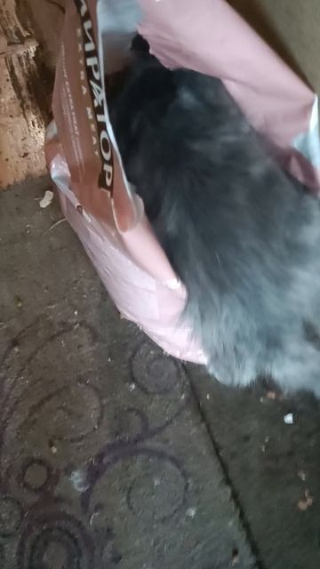 Зачем мелочиться?