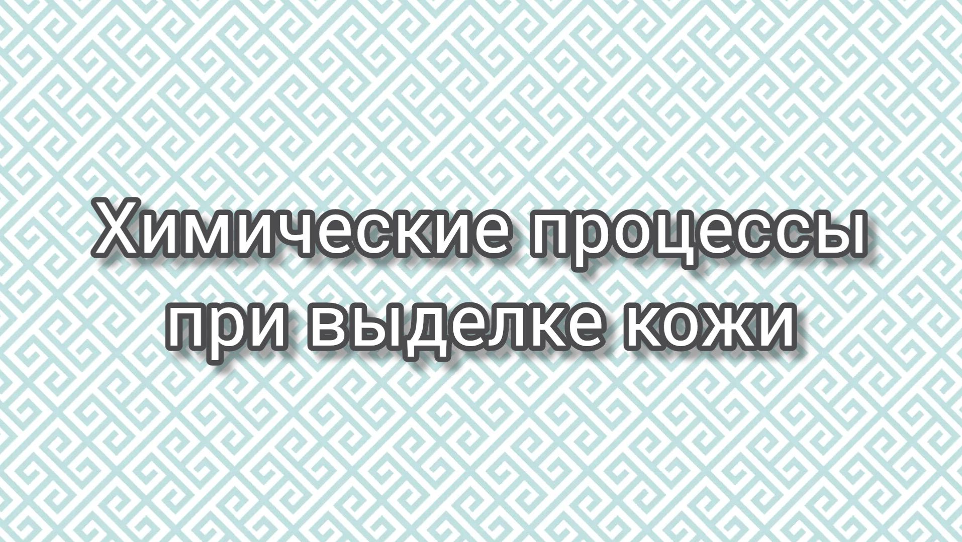 Выделка кожи