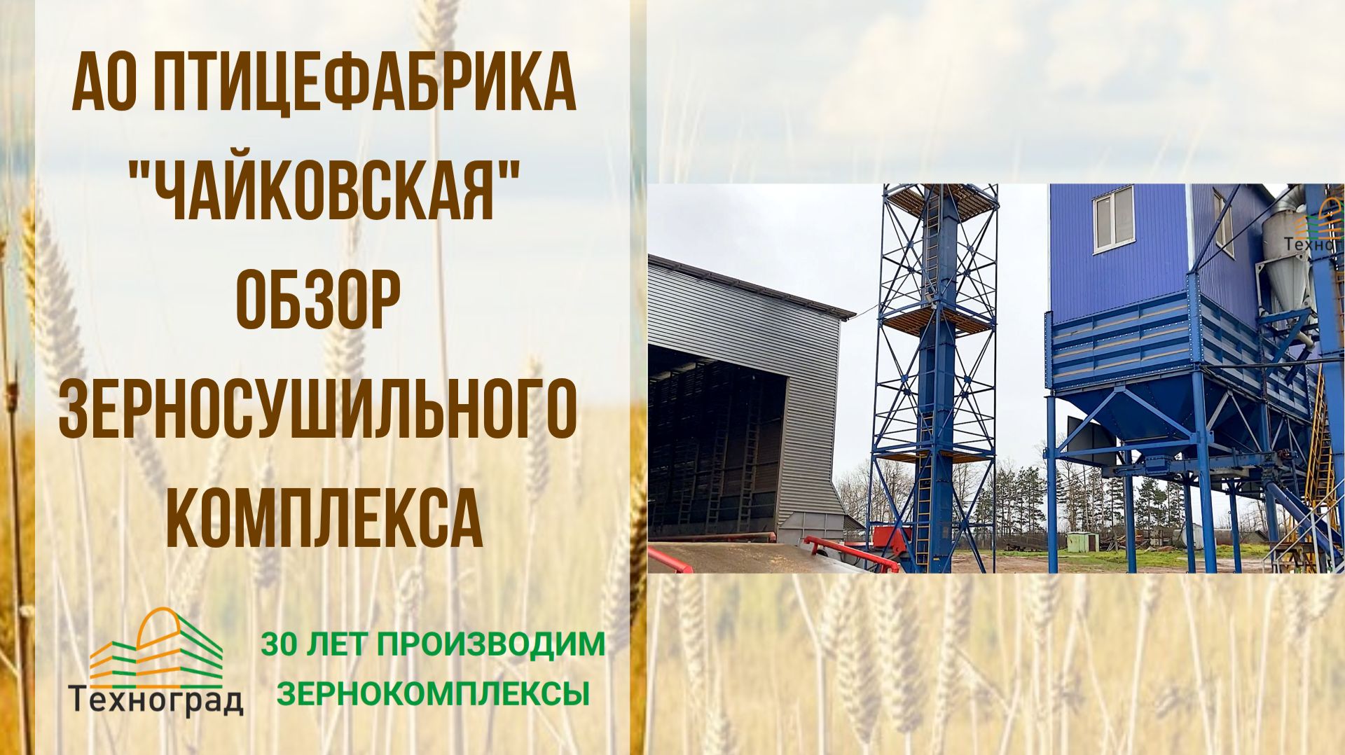 Зерносушильный комплекс АО «Птицефабрика Чайковская»