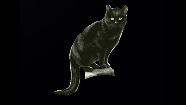 Черный кот. Мурчанье черного кота