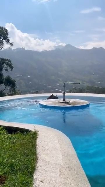 Терапевтический бассейн для лошадей в Колумбии