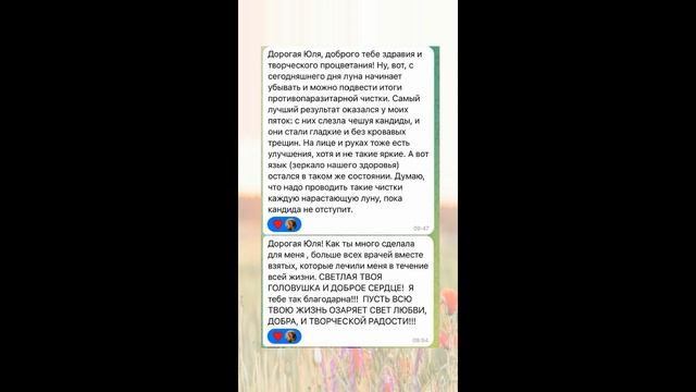 Отзывы о системе Белояр