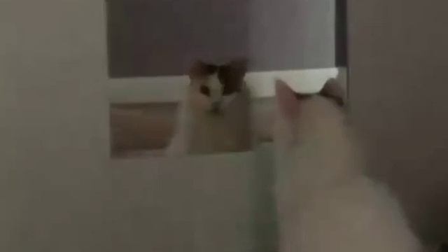 То потухнет, то погаснет