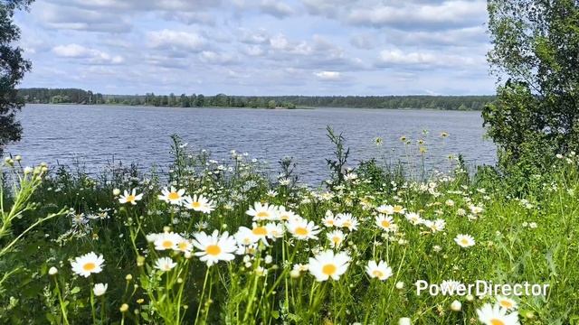 Тверская обл. г.Конаково 4.07.25 г.