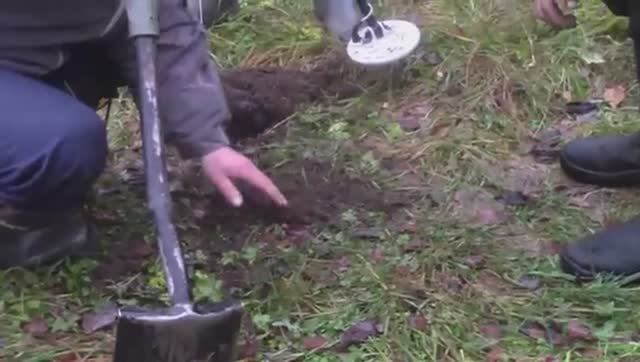Выкопали серебрянное кольцо и полный рюкзак рыжиков!