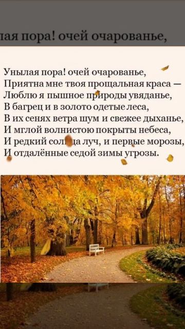 Унылая пора! Очей очарованье! - Пушкин А. С.