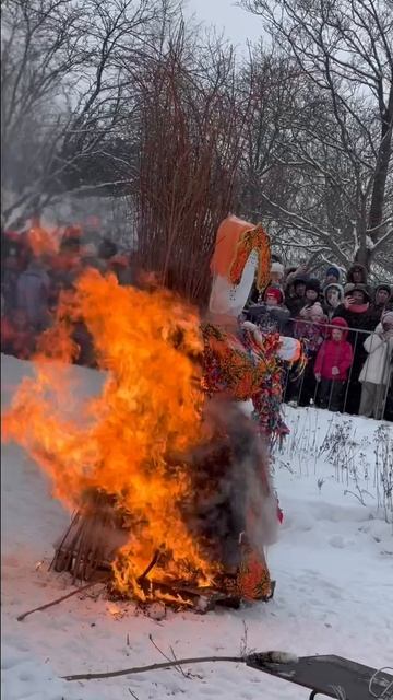 Сожгли масленицу.