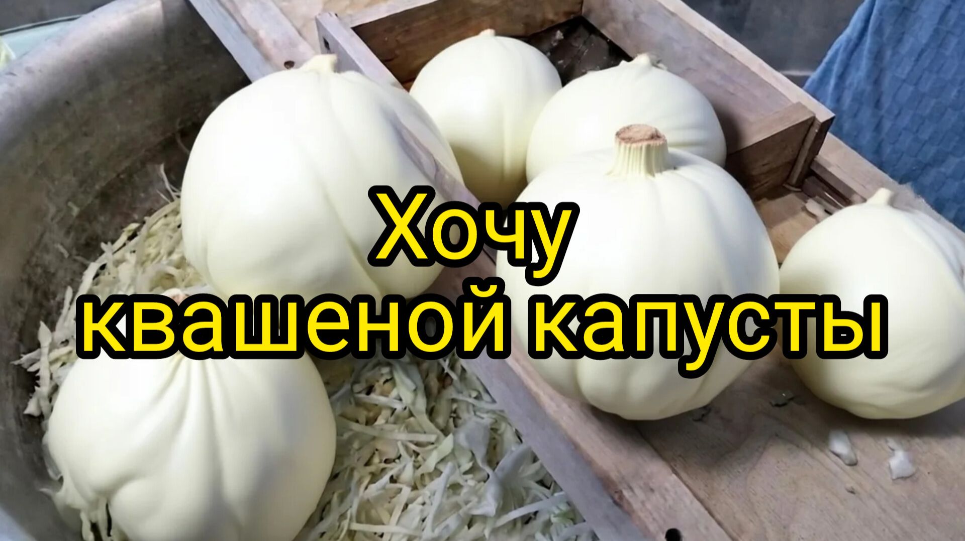 Хочу квашеной капусты.