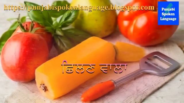 Kitchen Appliances Name in Punjabi #PujnjabiSpokenLanguage