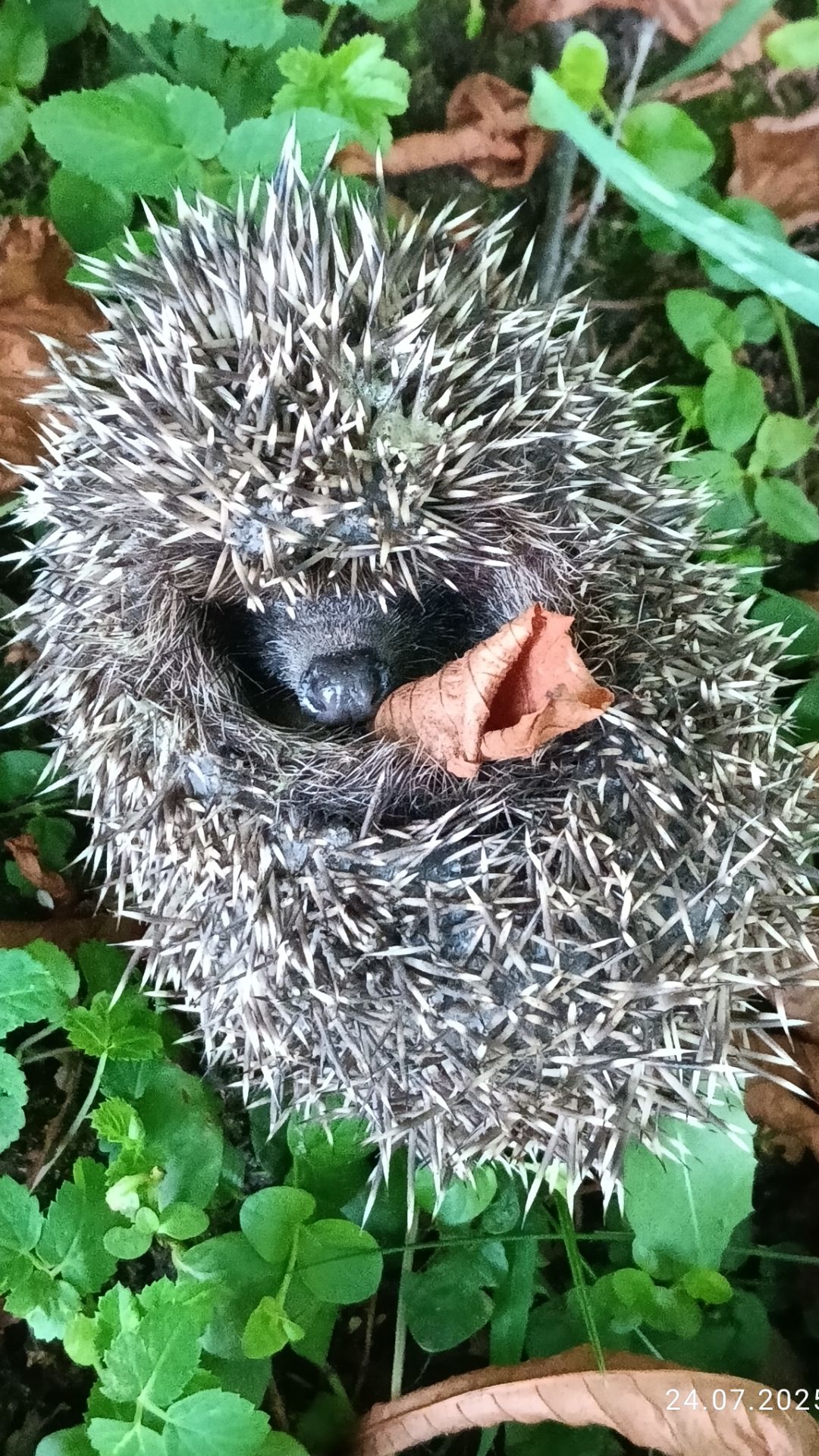 Перечень услуг от: адвоката, учителя английского языка, массаж, прочтите описание к этому видео