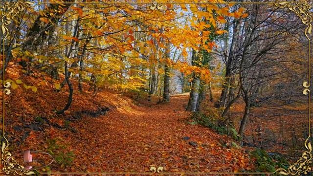 ЗА ЛИСТОПАДОМ