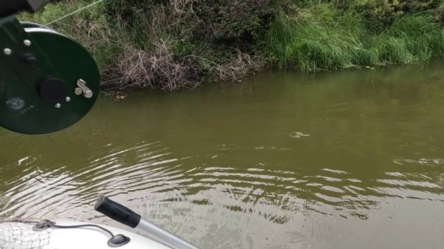 🔺️🎣ИГРАЕМ🎣🔺️fishing#туризм#природа#ловля#рыбалка#щука#ловлящуки#ночевка#Чулым#река#спиннинг