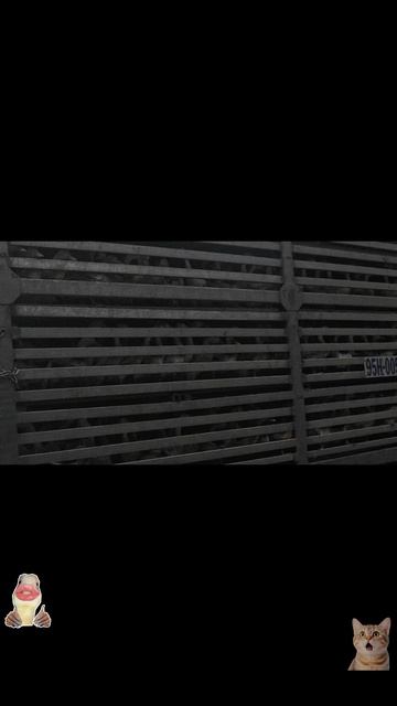 Непонимающие пассажиры Вьетнама