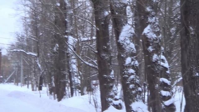 Петергоф Метель изящных вальсов закружила