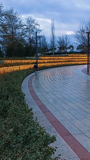 Люминистентная растительность в парке Галикого | Серега скалолаз #паркГалицкого #серега #shorts