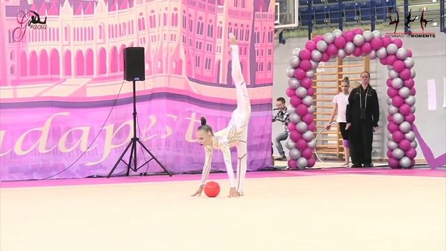 Screen_Recording_20260222_193405_YouTube