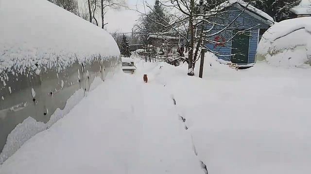 много снега 2026 год.