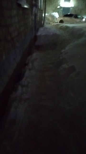 №1539 Двор Г. Звезда 73-Красноармейская 52 19 февраля 2026 г., 21:05:23 VID_20260219_210424163