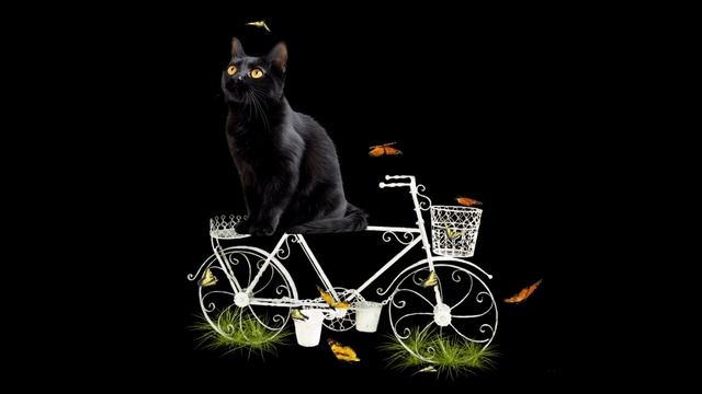 Крути педали. Звуки велосипеда