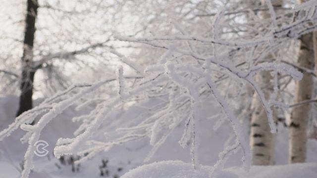 Снежная бахрома