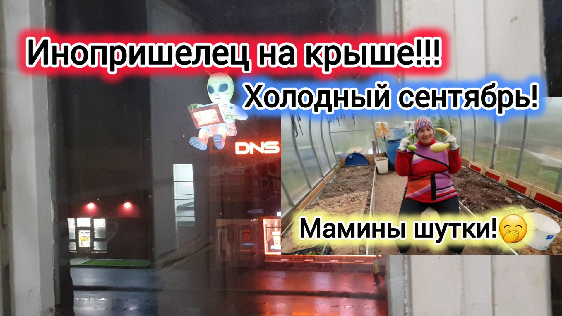 Дача,сентябрь,сбор урожая!🍁🍂Чудная тыква!😄 Баклажаны впечатляют!😯🍆