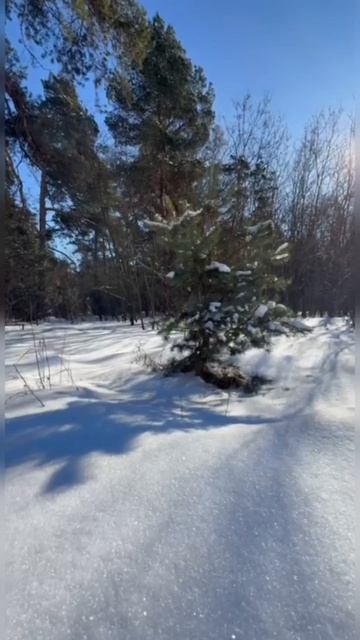 ЛЮБИМОЕ СОЛНЫШКО. Инна Филячева #вселеннаяя #стихи #пробуждение