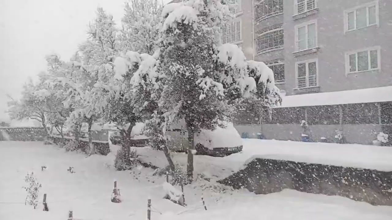 ☃️ Страна Сэфестия. ❄️ ＂ЧАРУЮЩЕЕ ЧУДО＂🌲🌲🌲