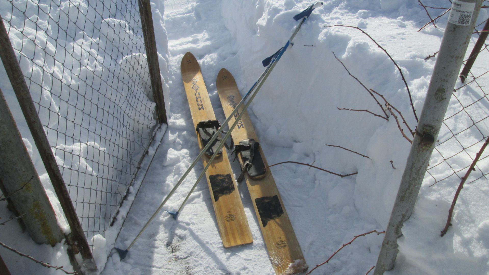 Лыжня здоровья