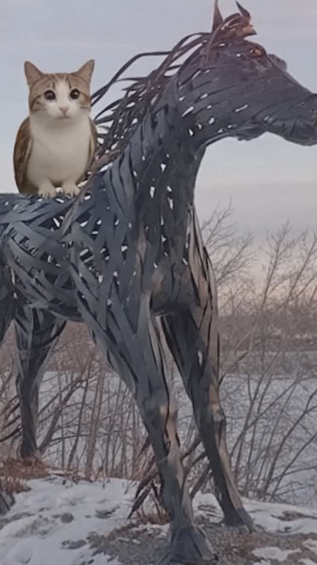 В Курган заглянул популярный мемный персонаж — котосова