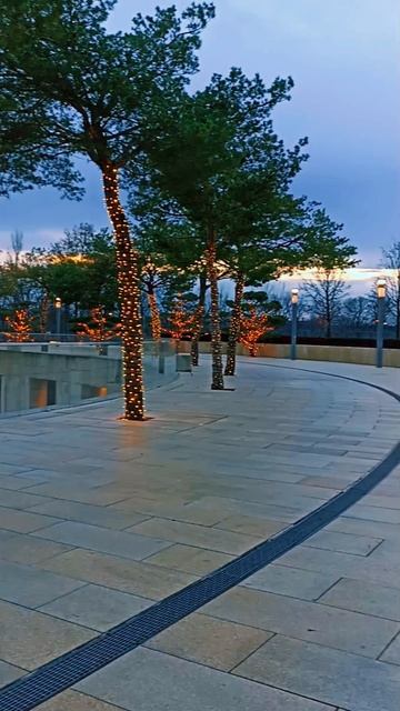 Пробежка и иллюминация в парке | Серега скалолаз #паркГалицкого #серега #shorts #паркКраснодар