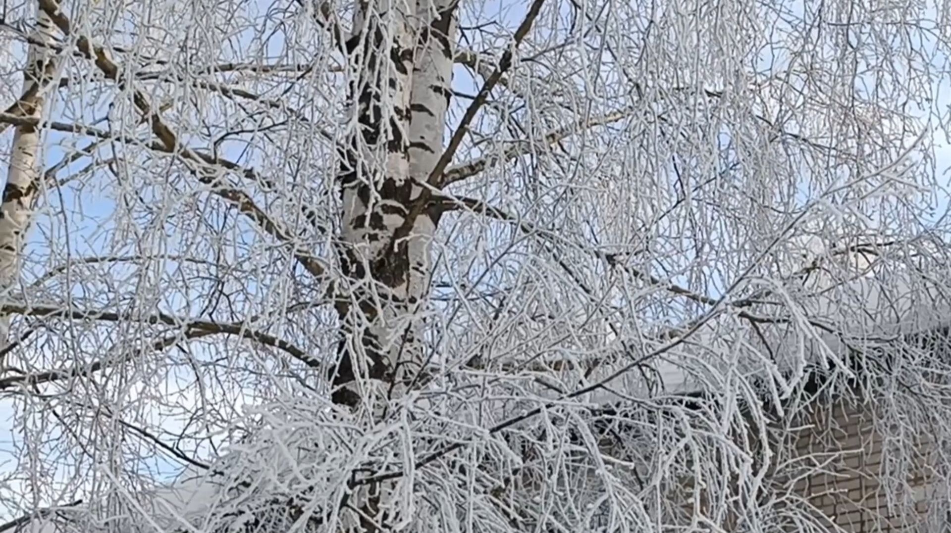 ФЕВРАЛЬ УДИВЛЯЕТ