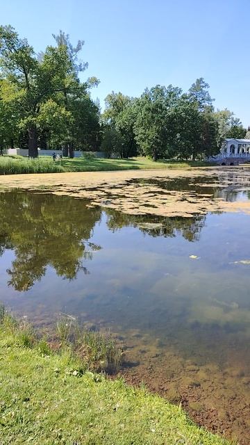 Турецкая баня. Екатерининский парк. город Пушкин