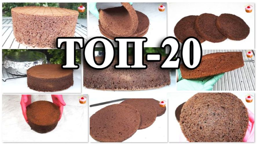 🍫 ТОП-20 ШОКОЛАДНЫХ ОСНОВ: бисквиты и коржи на любой вкус и бюджет! ВЫБОР от классики до новинок 💥