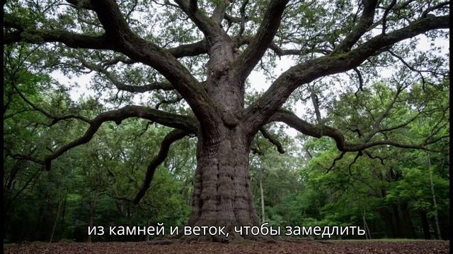 В месте мы сила.