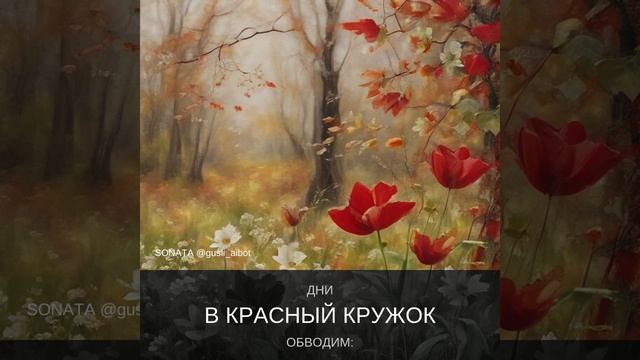 ПОТЕРЯНО ЛЕТО