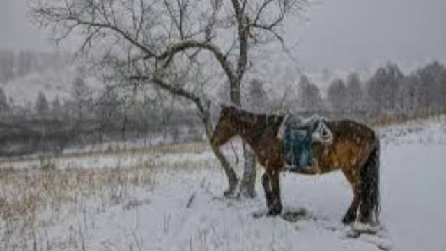 23 февраля - Прохор Весновей, Харлампий и Начало Великого поста