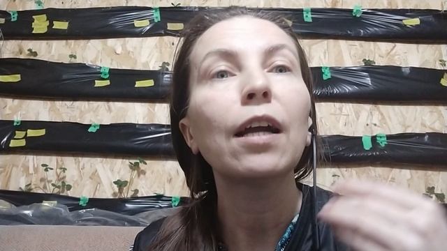 Сенестопатия. Ощущения в теле. Православный Патопсихолог Ольга Качан vole4ka84@mail.ru - для записи