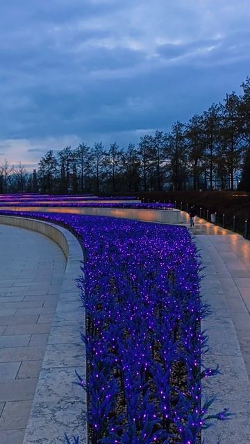 Утро в парке Галицкого | Серега скалолаз #паркГалицкого #серега #shorts #паркКраснодар #отдыхвпарке