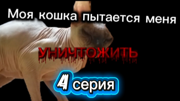 Моя кошка пытается меня уничтожить 4 серия