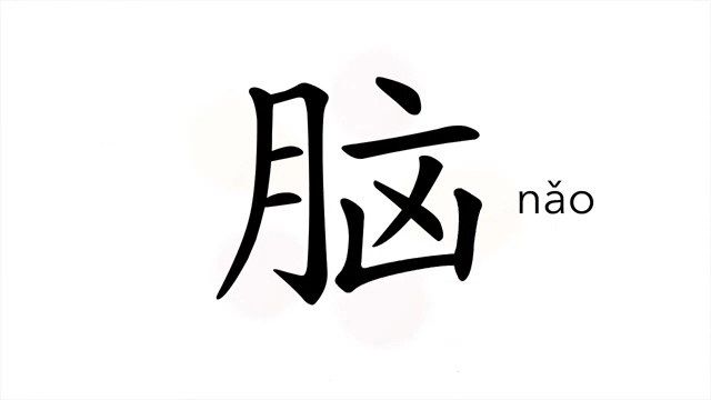 脑 (nǎo) brain; cenebrun*