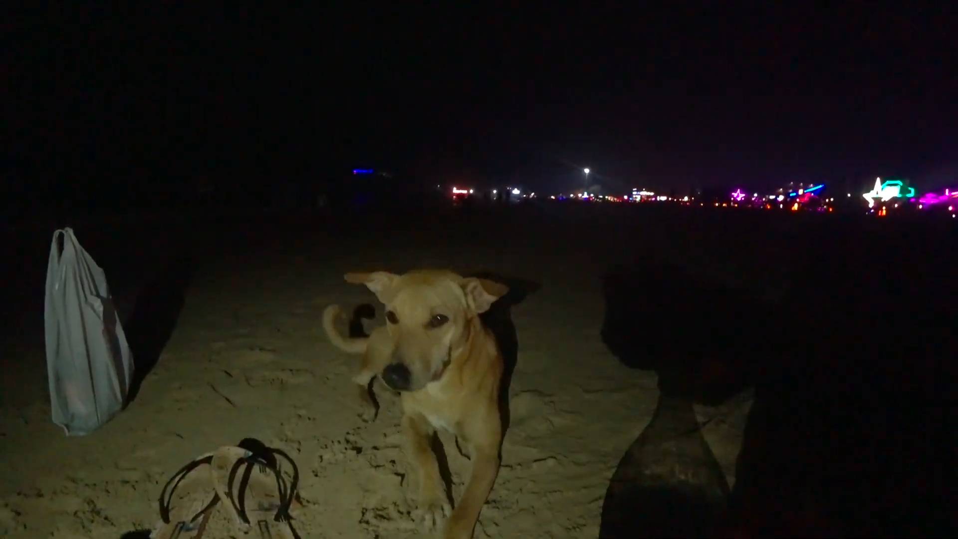 Индия ГОА. Чилим ночью на пляже, знакомимся с местными. Поём наши песни. ПРОСТЫЕ ЛЮДИ. День 2